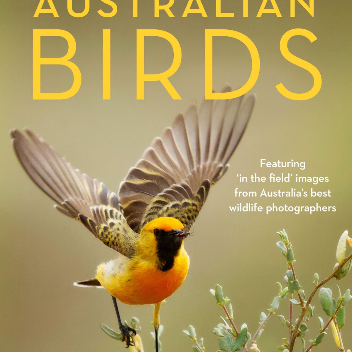 Complete Guide to Australian Birds - Birdwatching Field Guide – SmartfoxNZ