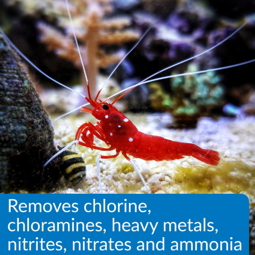 Aquarium Water Conditioner- API Aqua Essential 1.89L – SmartfoxNZ