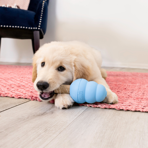 Dog Treat - KONG Ziggies Enhanced Puppy Small (198g) – SmartfoxNZ