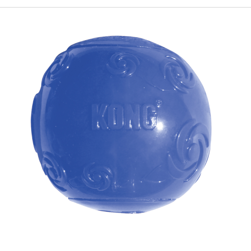 Dog Toy - KONG Squeeze Crackle Stick (Large) – SmartfoxNZ